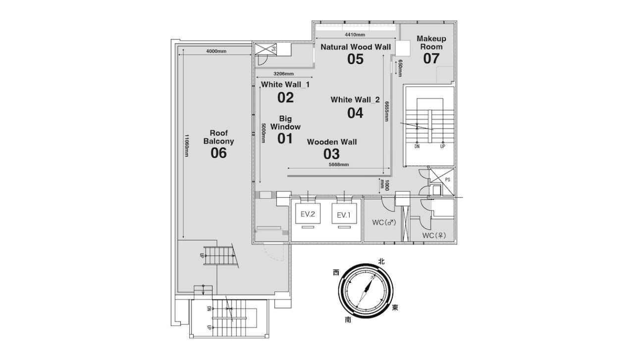 STUDIO PINENUTS - STUDIO PRESS