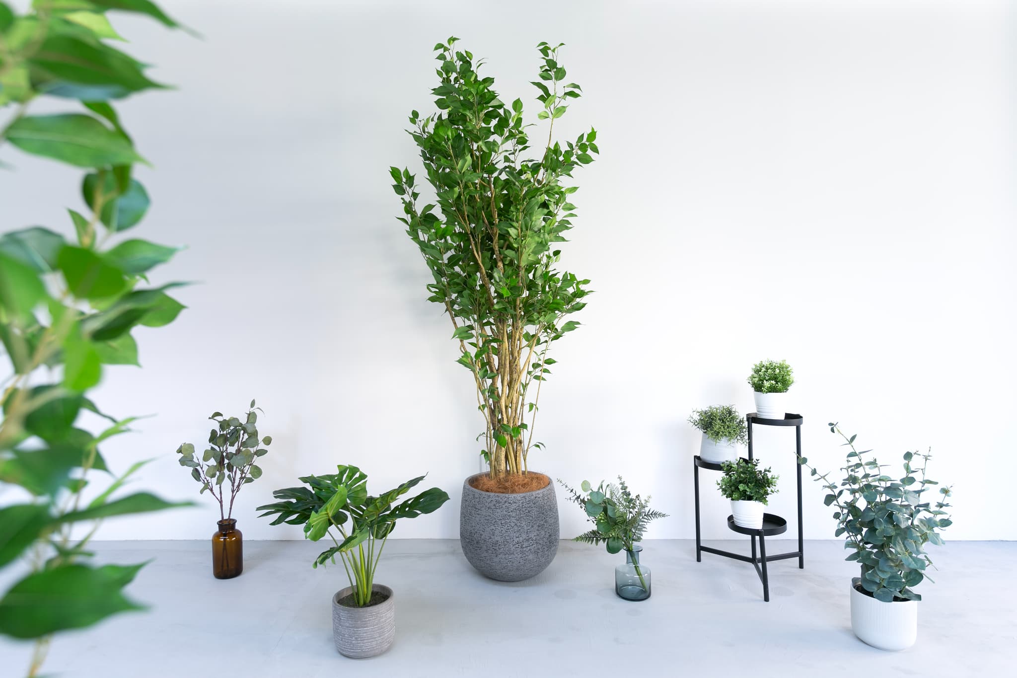 Studio HEIM - STUDIO PRESS