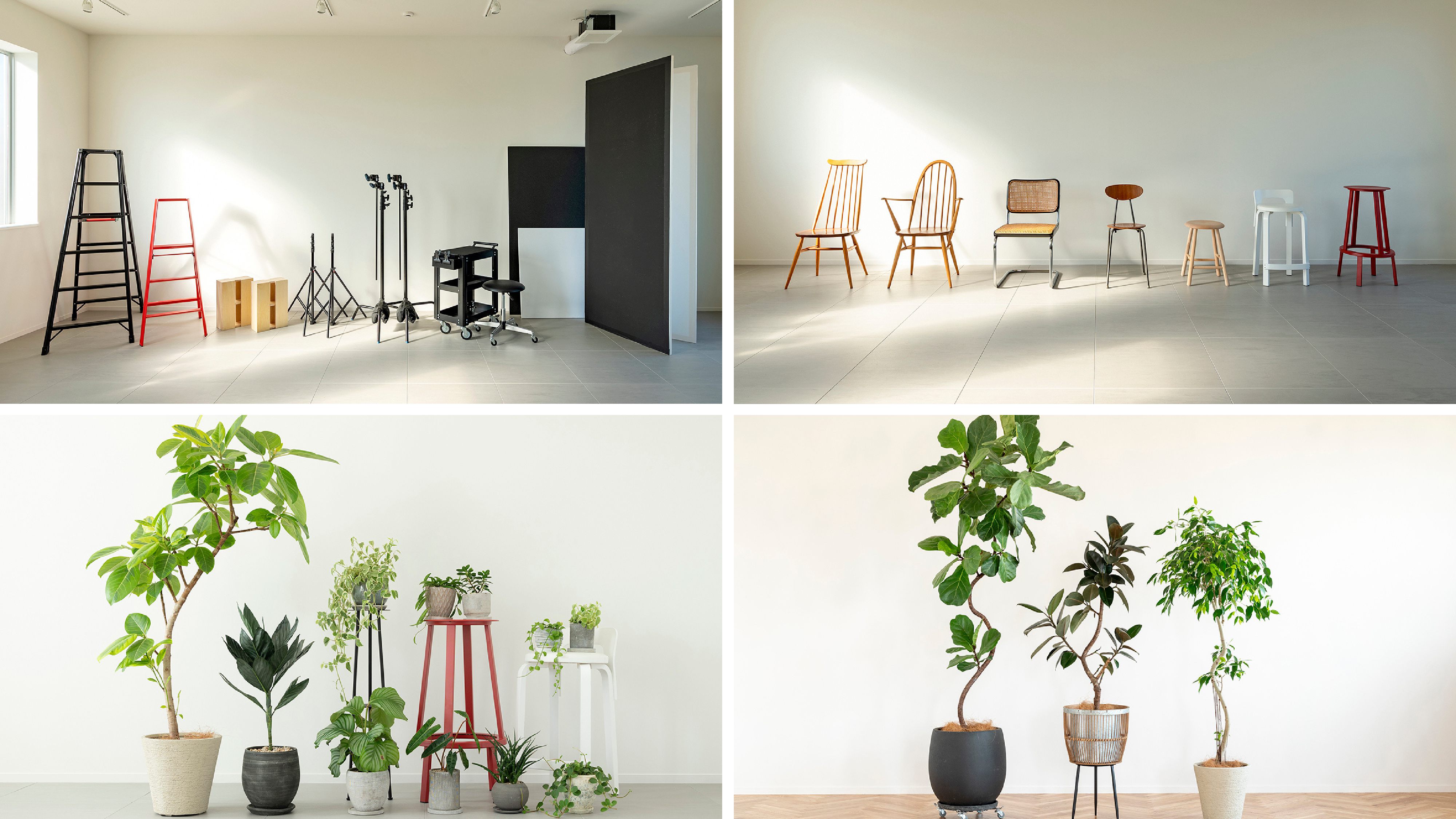 studio CoCo - STUDIO PRESS