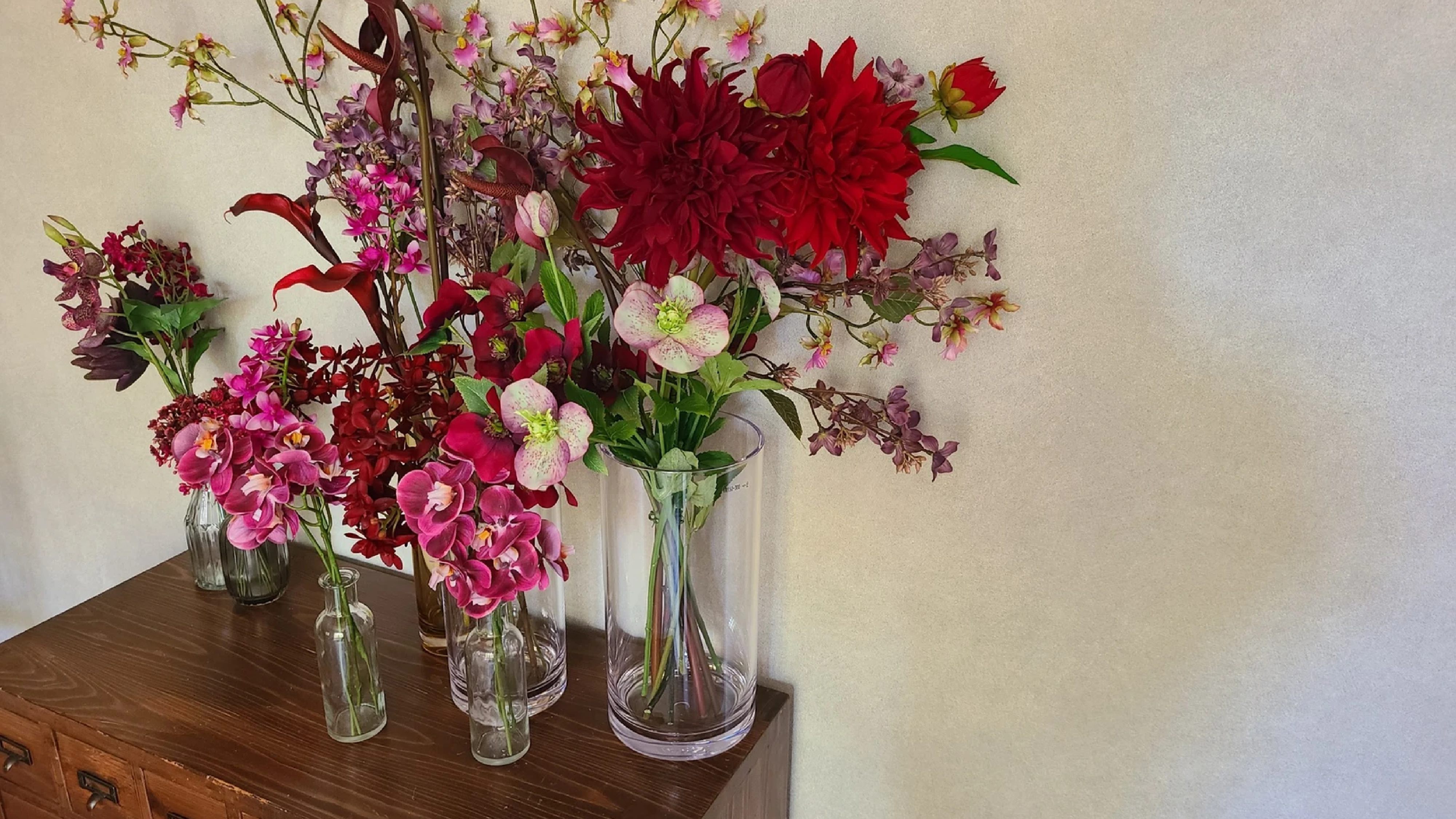 studio Ania - STUDIO PRESS