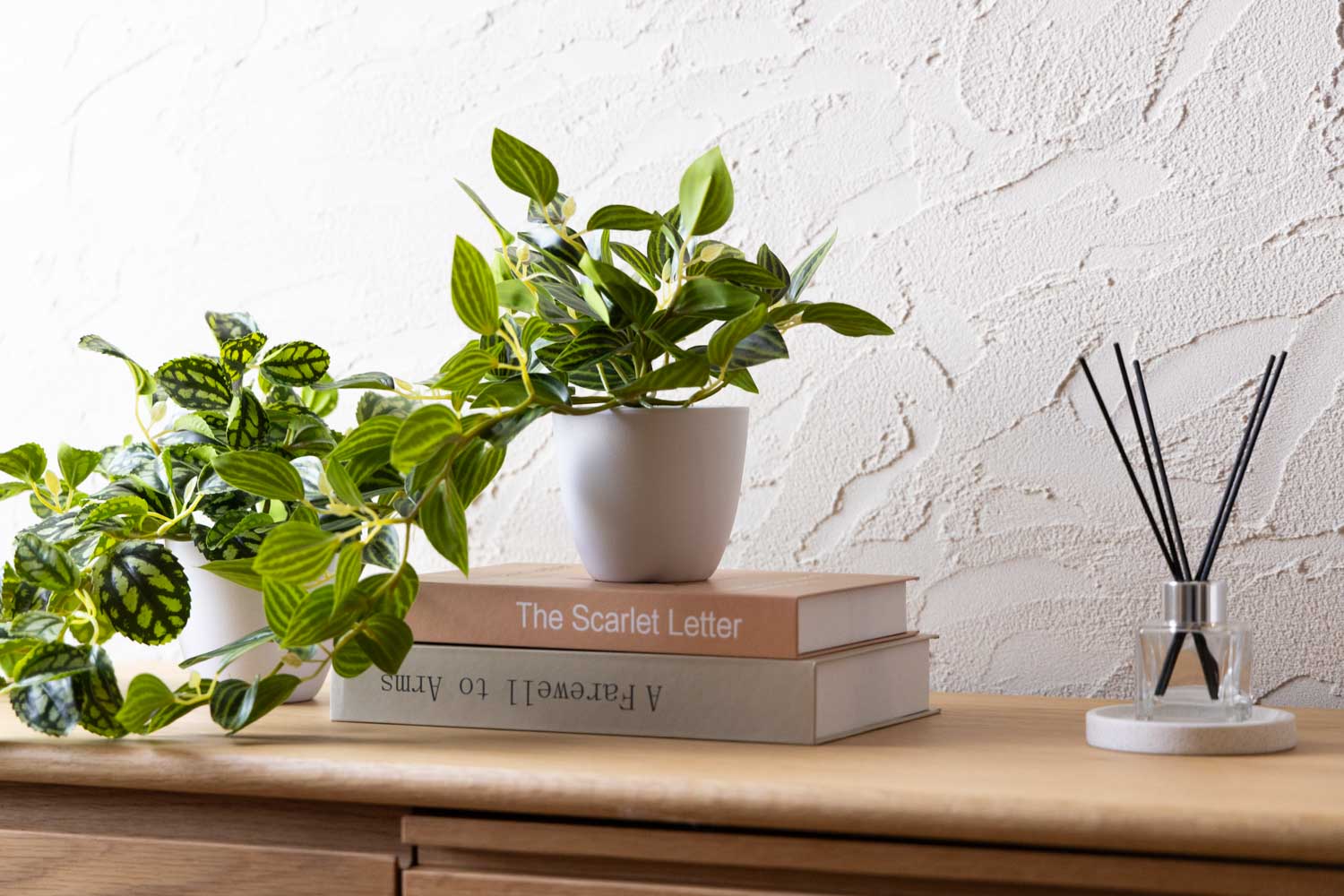 STUDIO BIGBEAR 3st - STUDIO PRESS