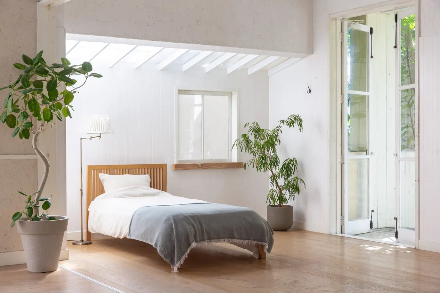 Studio Basil – Basil – - STUDIO PRESS