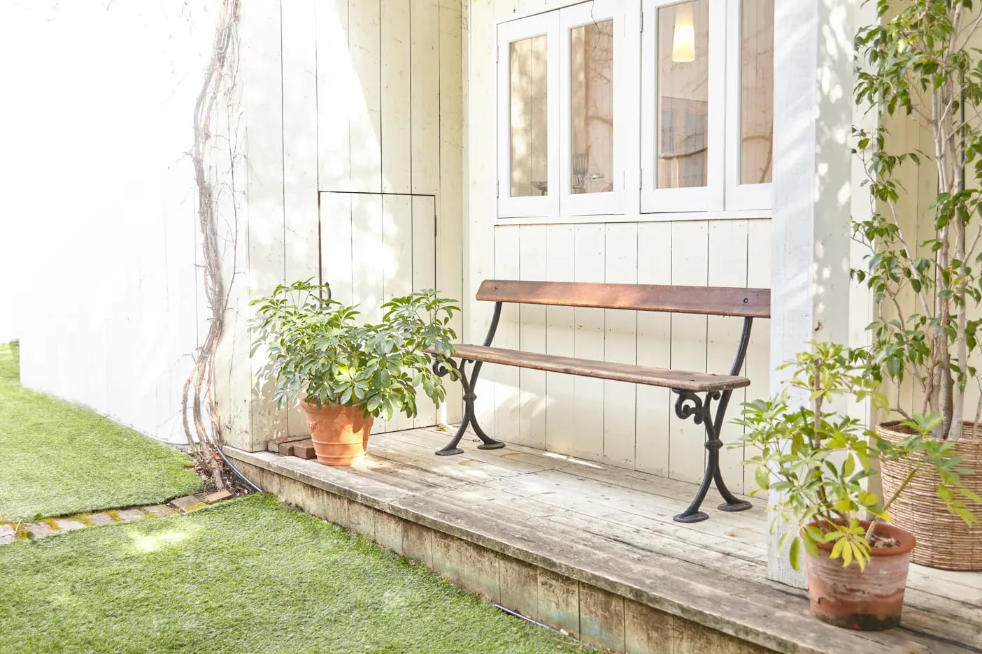 Studio Basil – Basil – - STUDIO PRESS