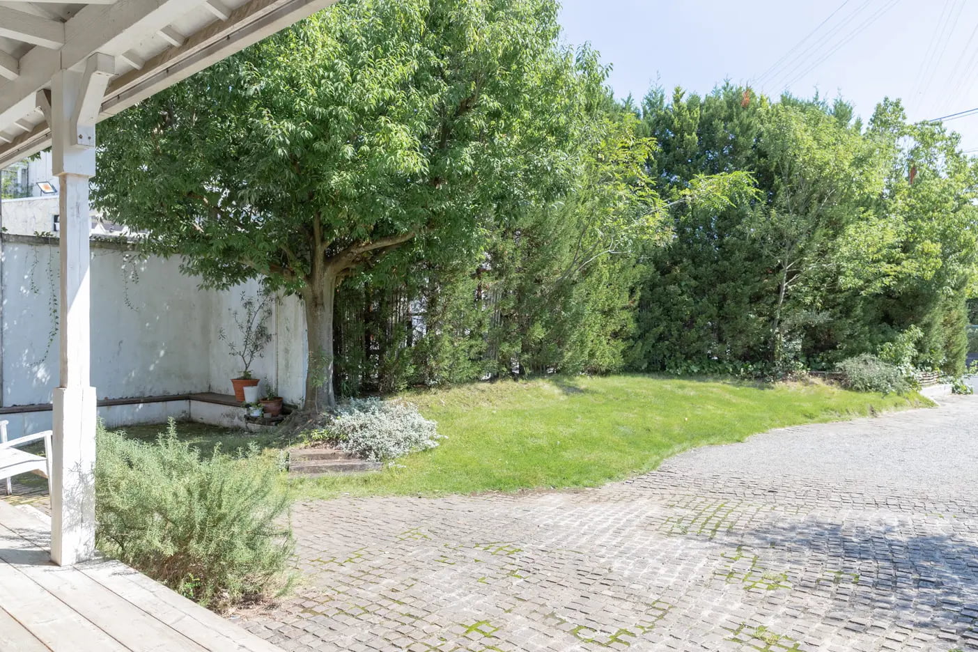 Studio Basil – Basil – - STUDIO PRESS