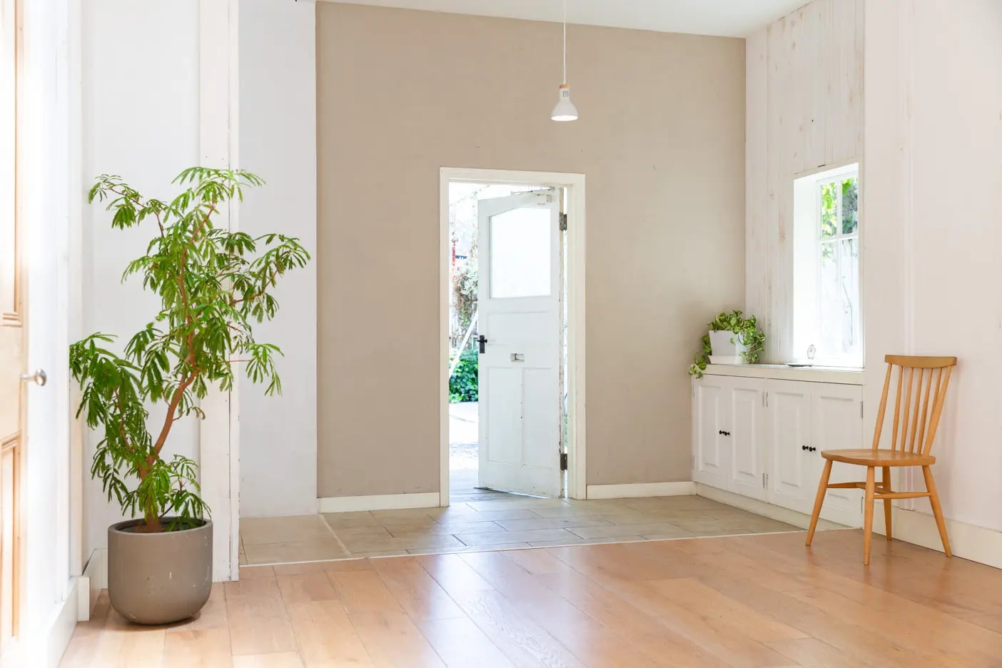 Studio Basil – Basil – - STUDIO PRESS