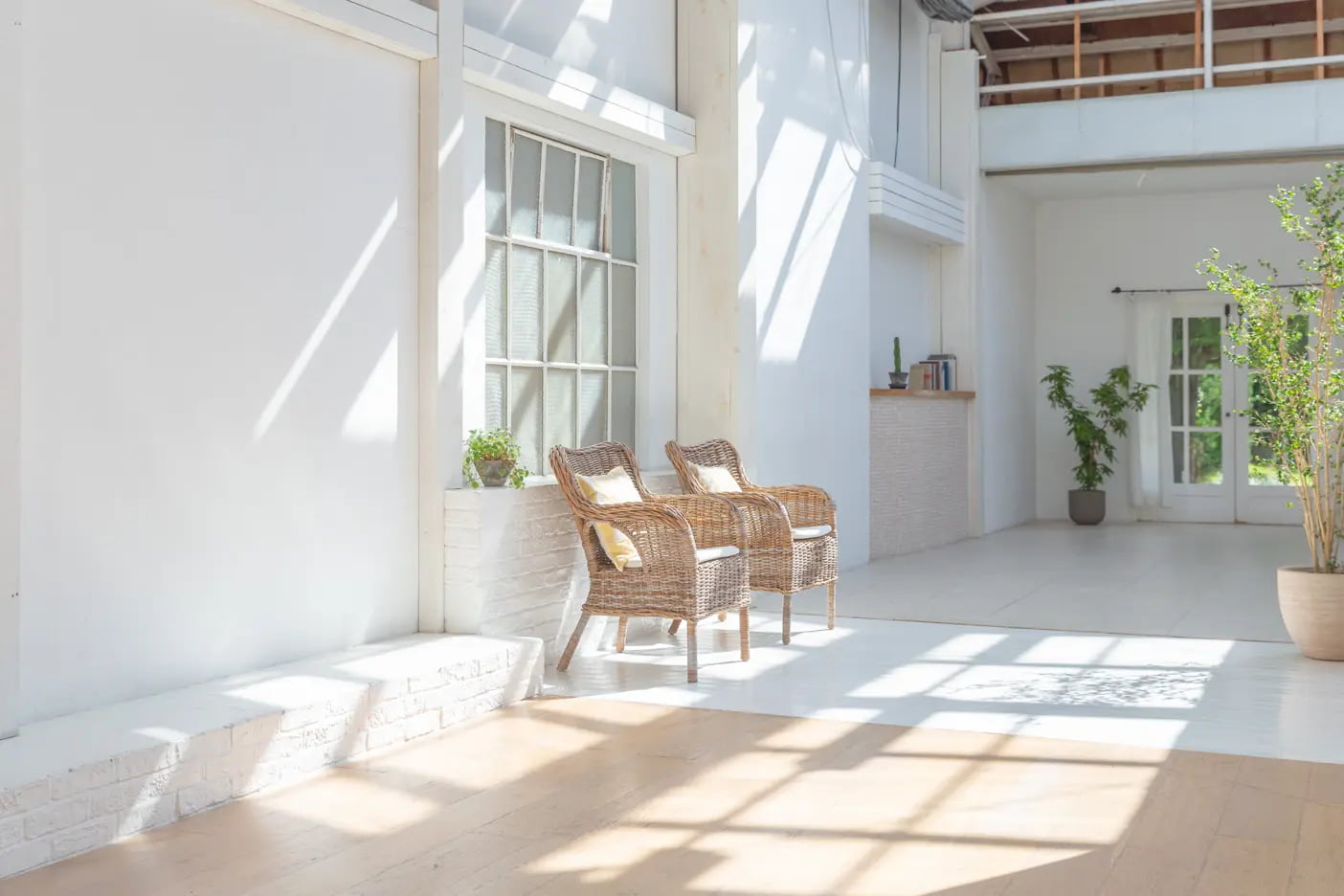Studio Basil – Basil – - STUDIO PRESS