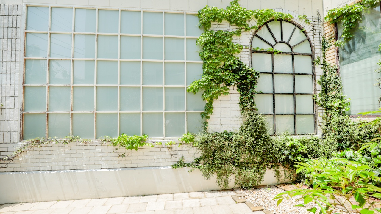 STUDIO SHOWCASE – APRICOT – - STUDIO PRESS