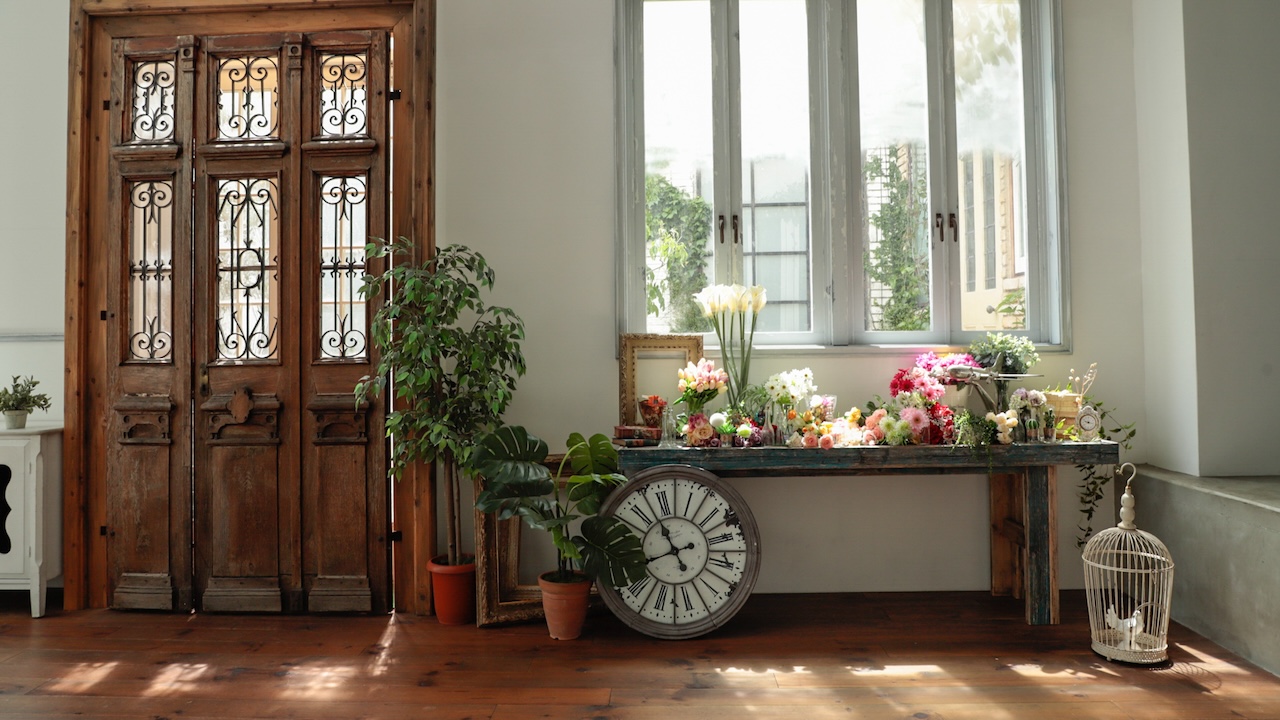 STUDIO SHOWCASE – APRICOT – - STUDIO PRESS