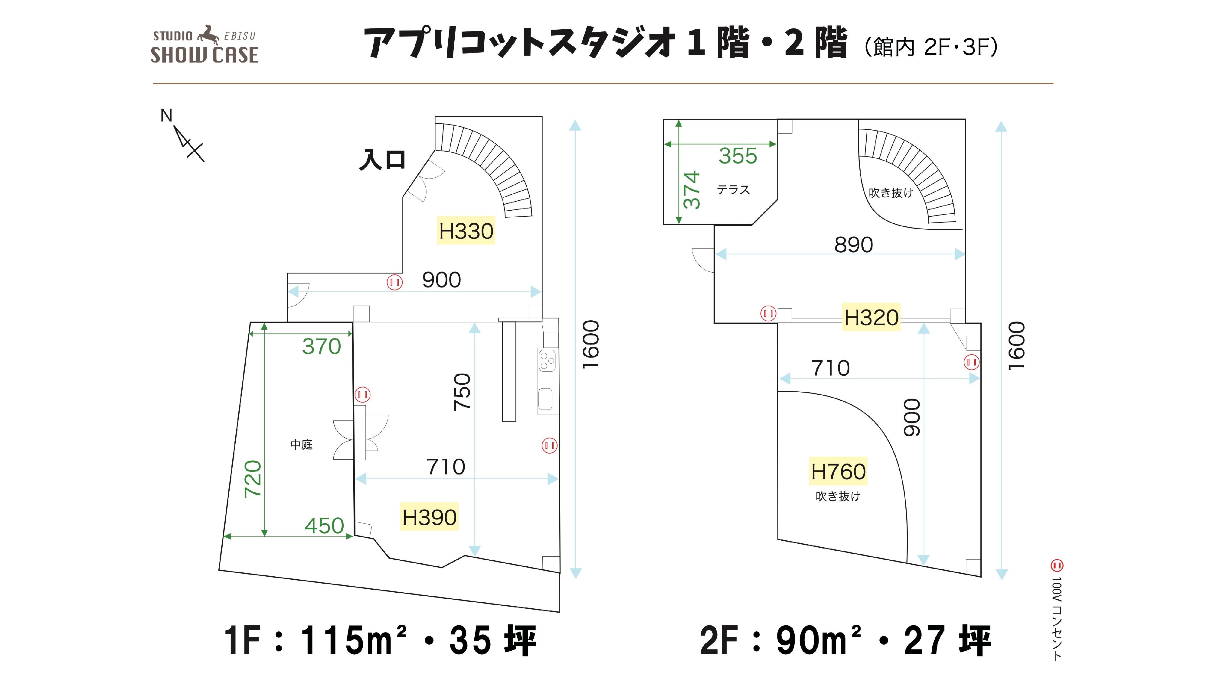 STUDIO SHOWCASE – APRICOT – - STUDIO PRESS